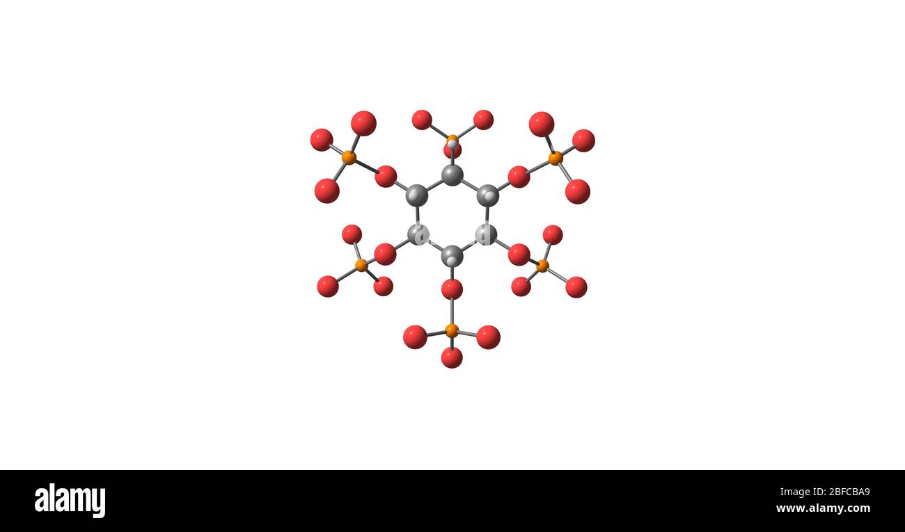 Phytic acid - inositol polyphosphate - phytate when in salt form- a ...