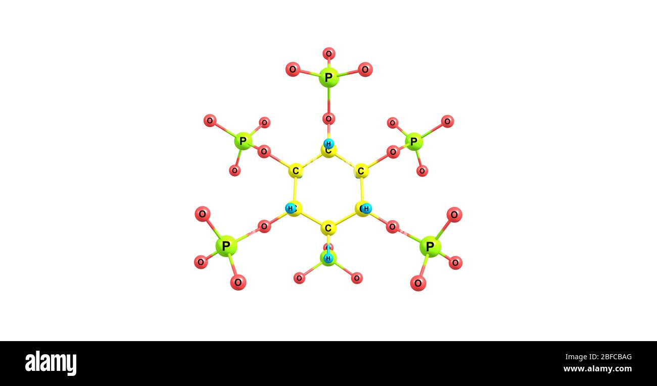 Phytic acid - inositol polyphosphate - phytate when in salt form- a ...