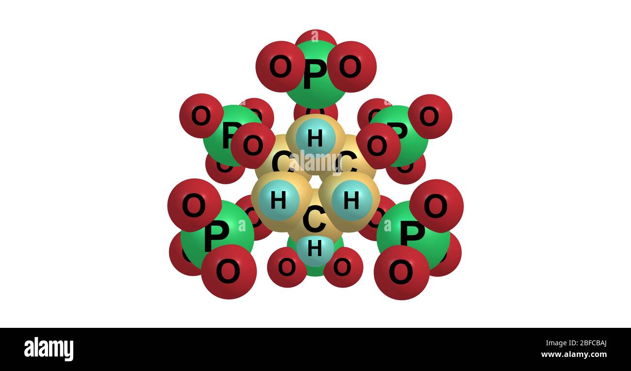 Phytic acid - inositol polyphosphate - phytate when in salt form- a ...