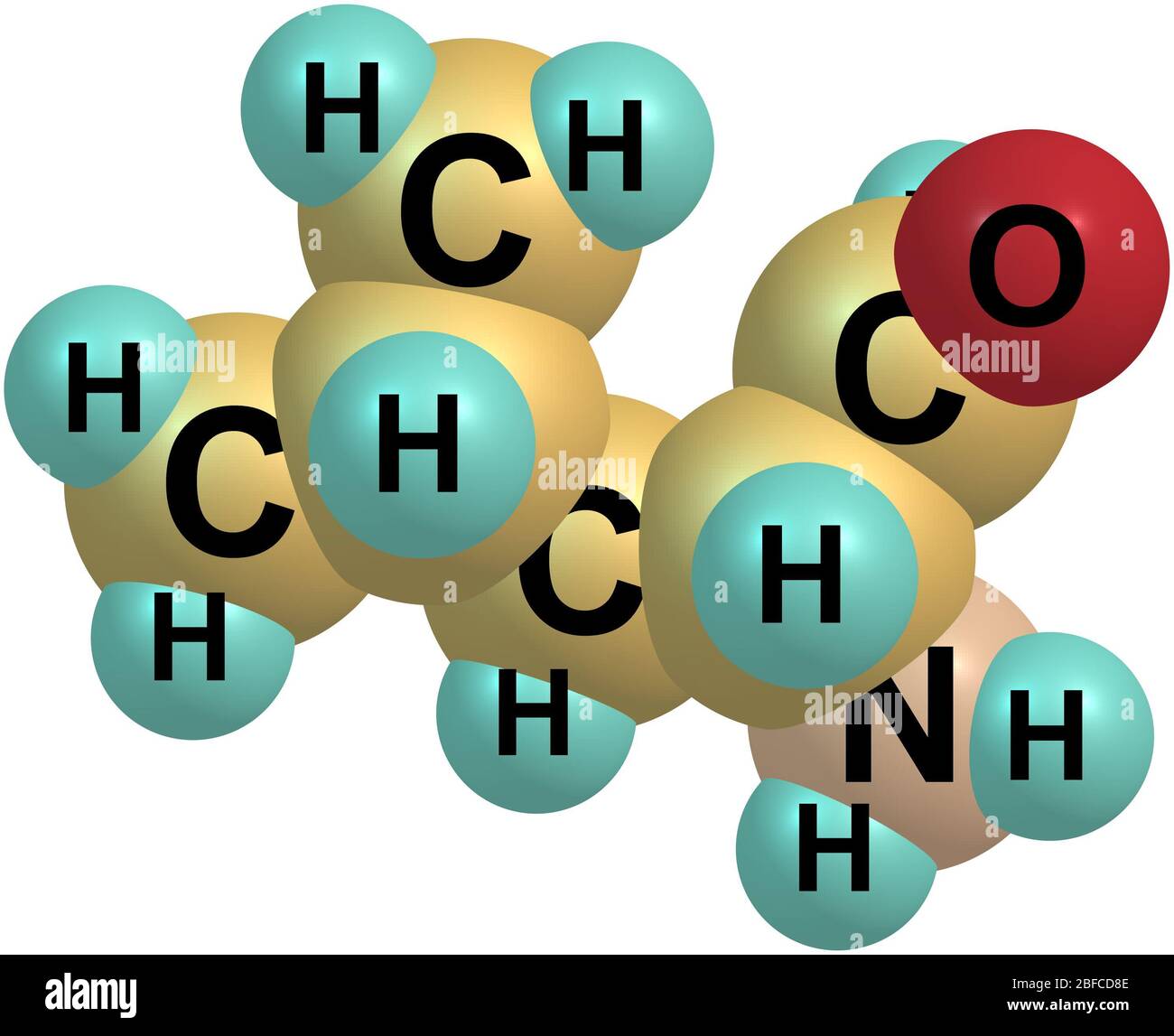 Threonine amino acid molecule hi-res stock photography and images - Alamy