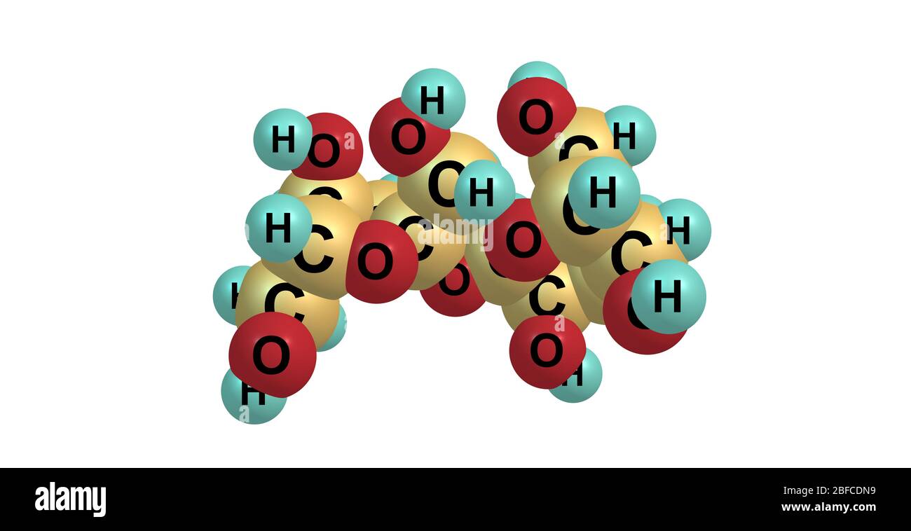 A molecular model of sucrose hi-res stock photography and images - Alamy
