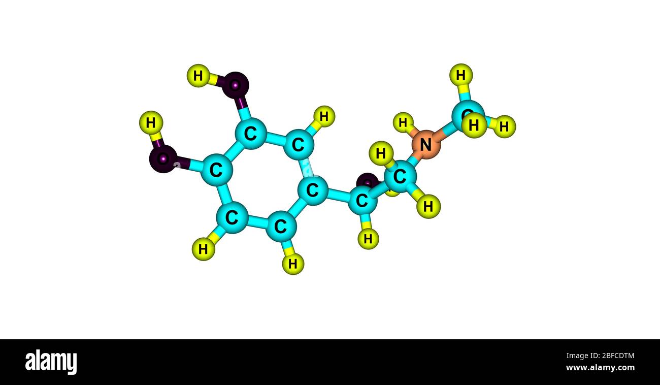 Adrenaline model molecule is primarily a medication and hormone Stock ...