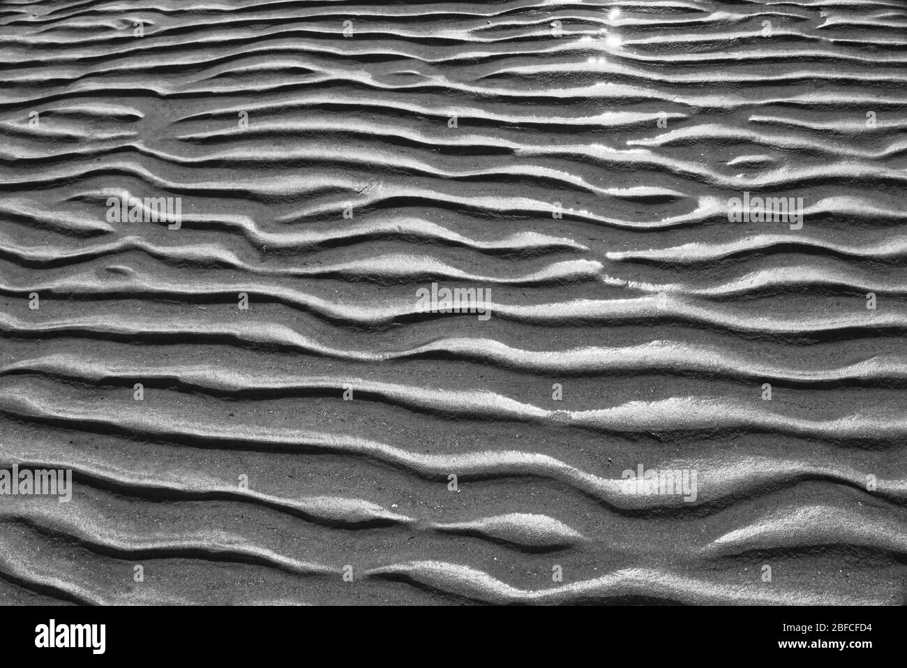 Tide patterns Black and White Stock Photos & Images - Alamy