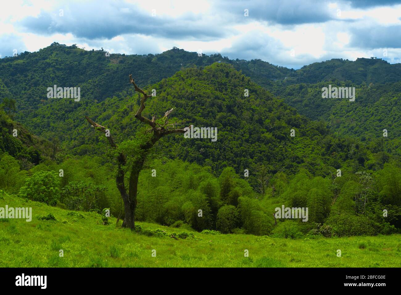 Morovis hi-res stock photography and images - Alamy