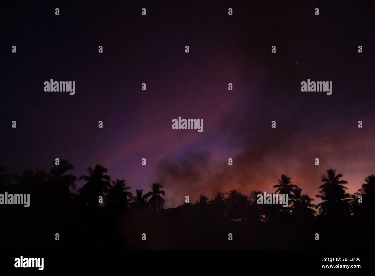 Smoke from a bonfire in a rainforest at sunset. Fires in the forest ...