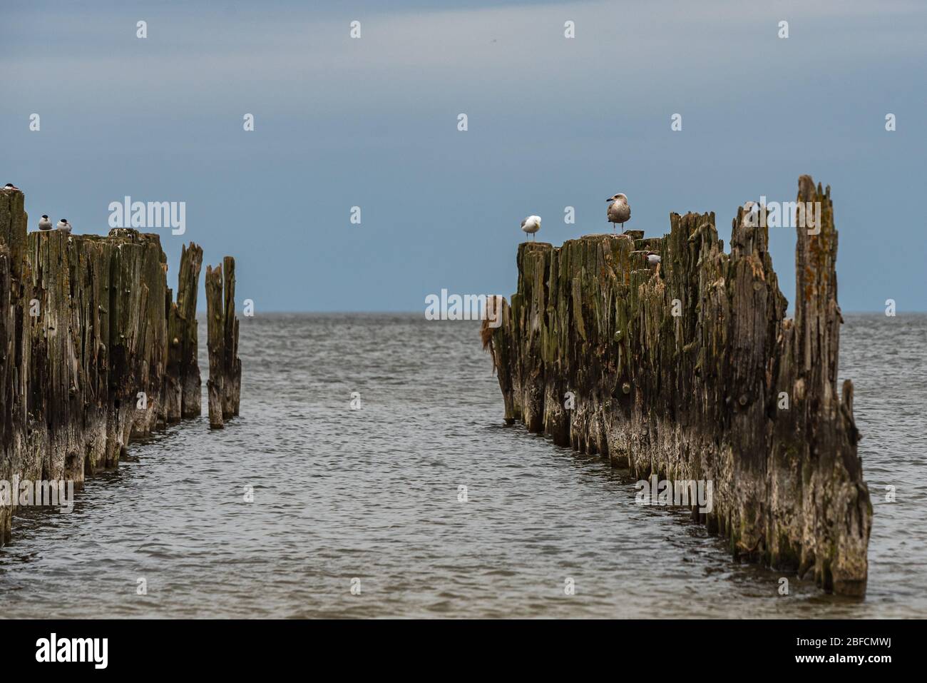 Old Boat Dock High Resolution Stock Photography and Images - Alamy