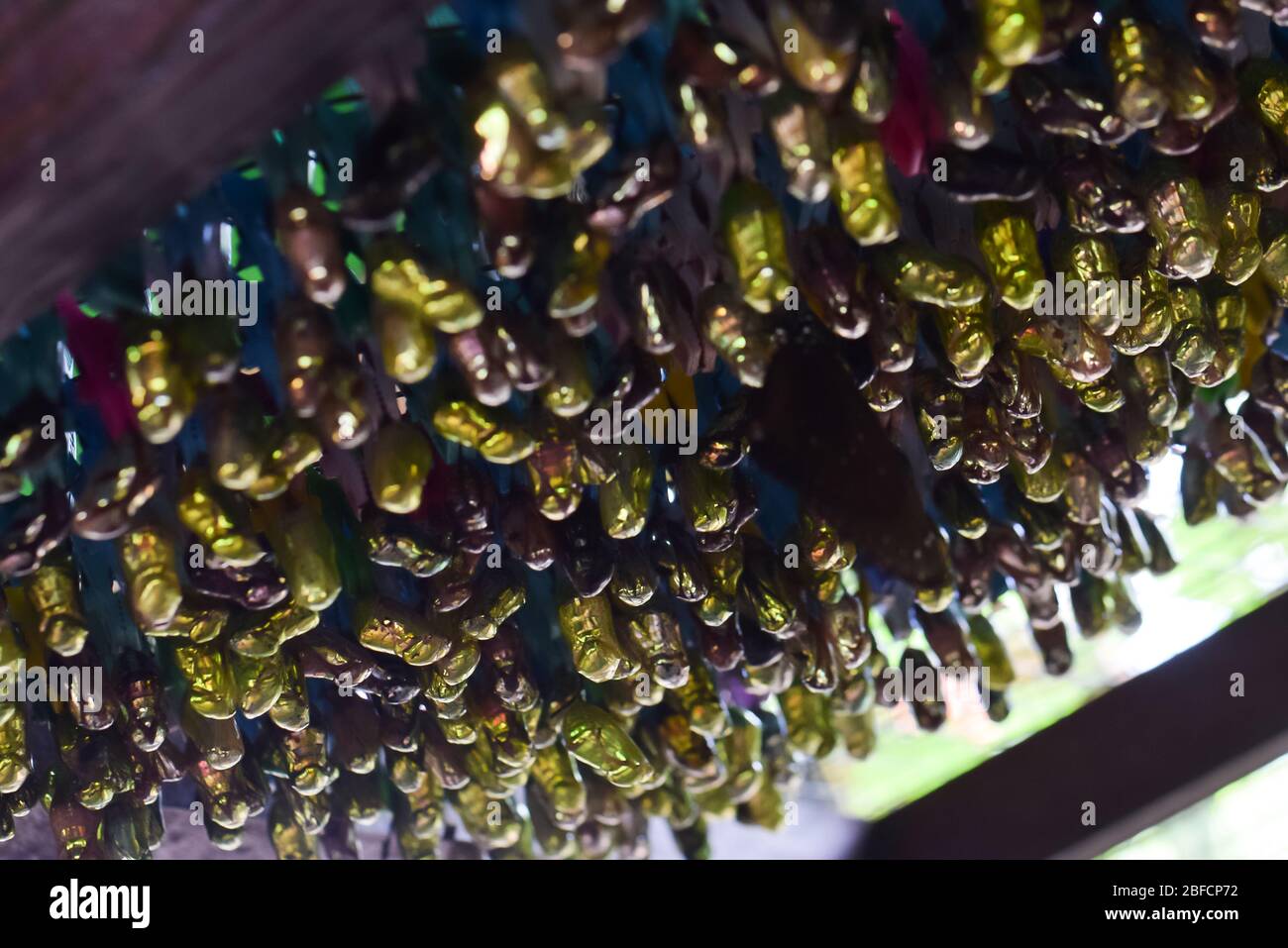Newborn butterflies at the butterfly garden in Bali Stock Photo - Alamy