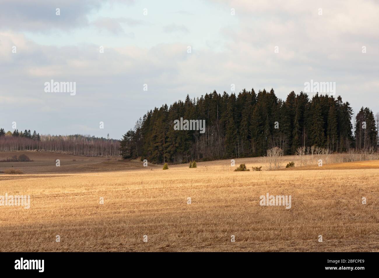 Forest farming hi-res stock photography and images - Alamy