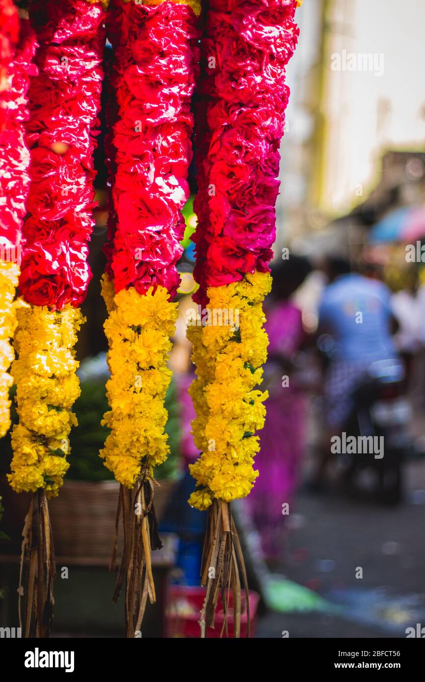 Indian Flower Garland High Resolution Stock Photography and Images - Alamy