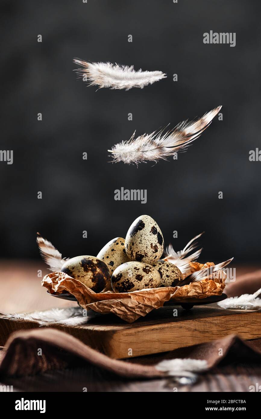 Feathers Falling High Resolution Stock Photography and Images - Alamy