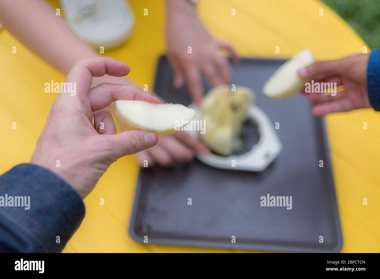 Testing delicious apple during fruit picking in Japan Stock Photo - Alamy