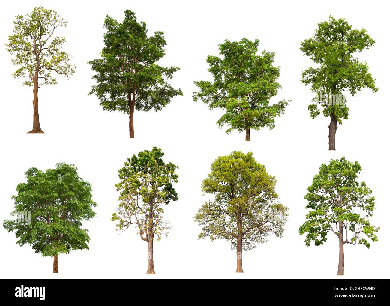 Preserve spring collection hi-res stock photography and images - Alamy