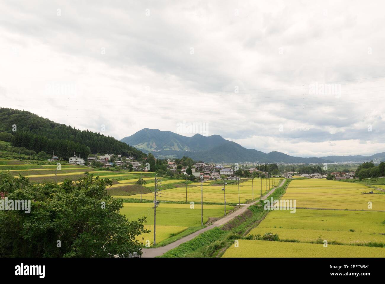Rice paddy field japan farming hi-res stock photography and images - Alamy