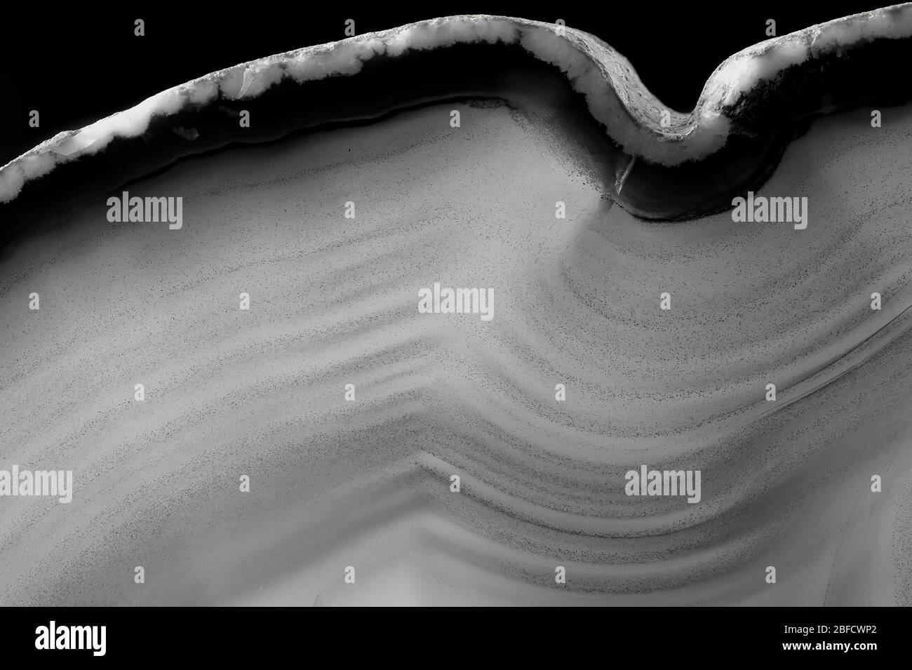 Metamorphic rock quartz detail hi-res stock photography and images - Alamy