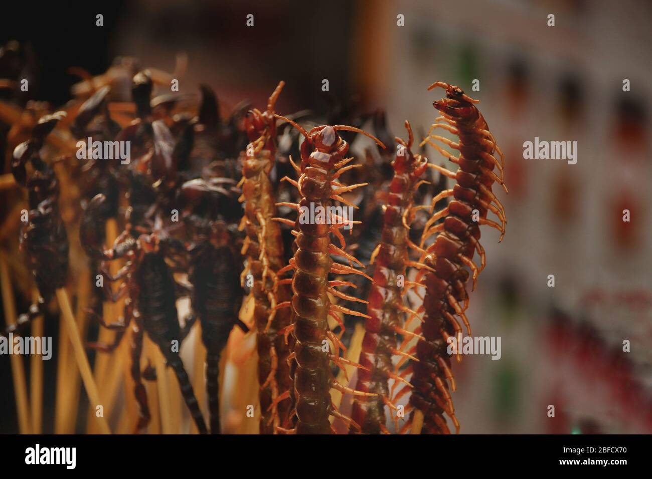 Fried centipedes hi-res stock photography and images - Alamy