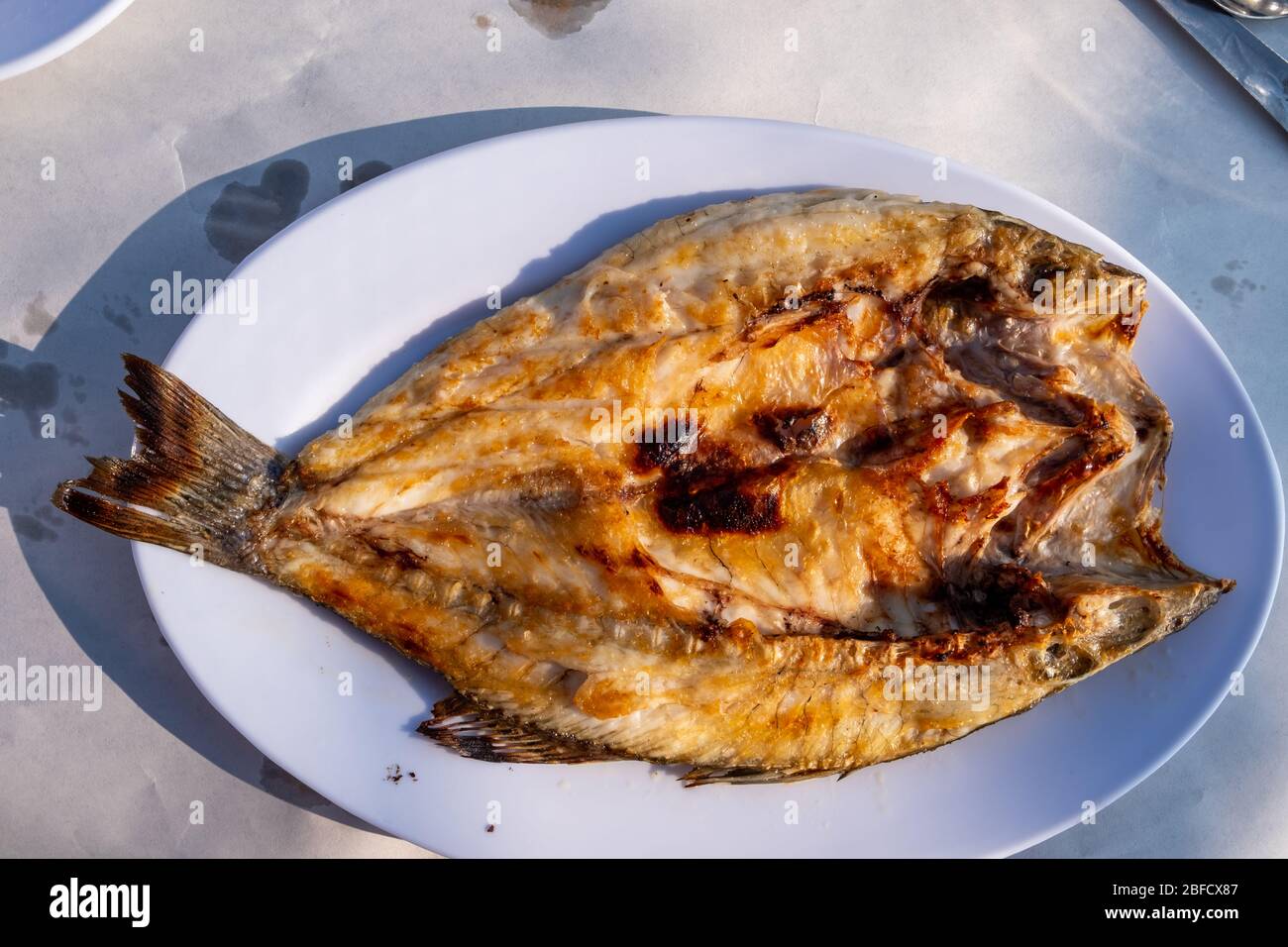 Grilled sea bass fish on dish plate Stock Photo - Alamy