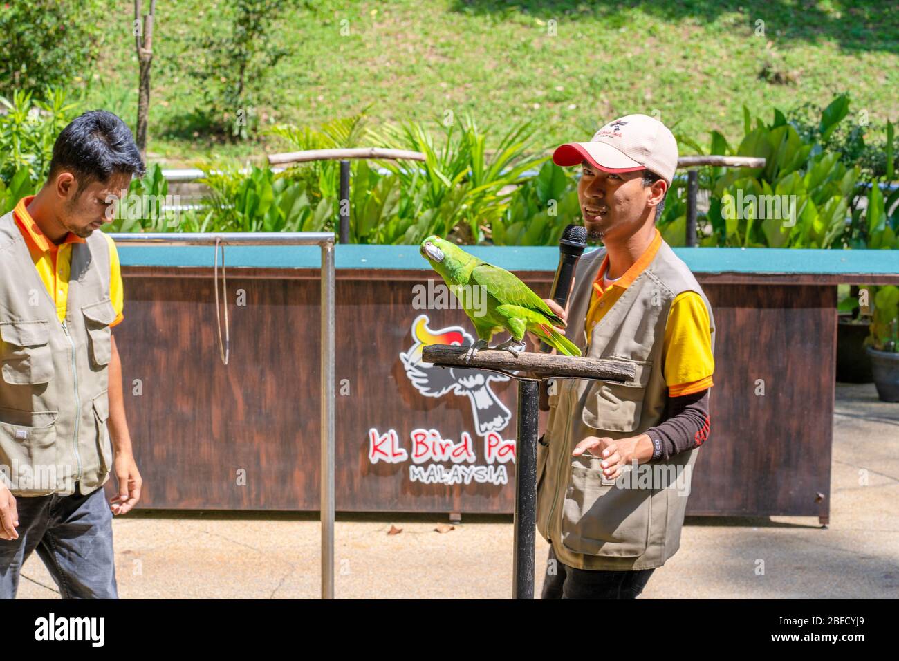 A show with birds in a bird park. A trainer with parrots Stock Photo ...