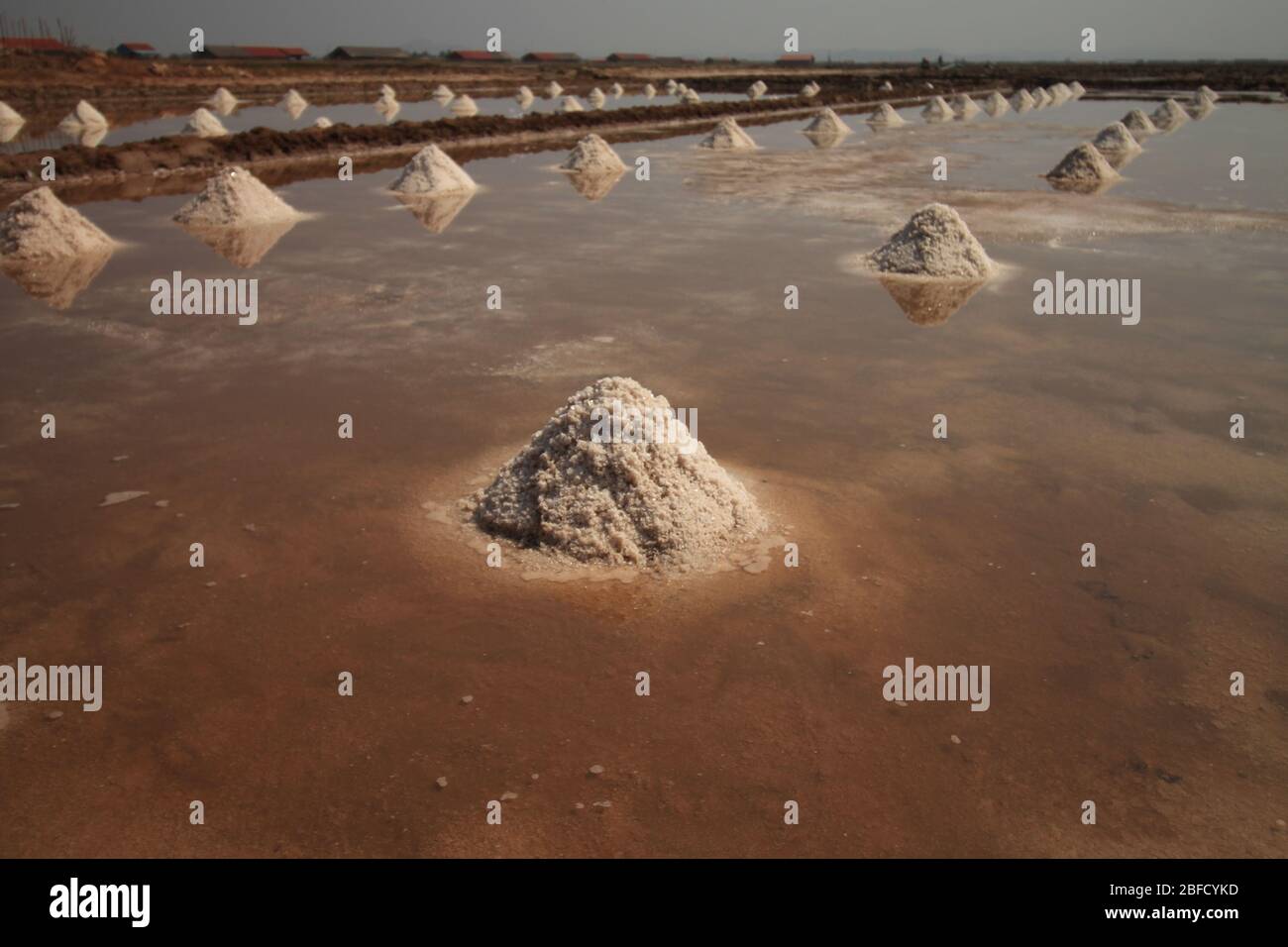 Salt farms or salt fields of Kampot province in Cambodia during harvest ...