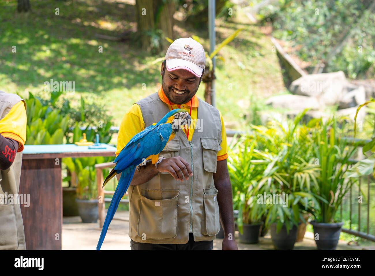 Parrots and trainer hi-res stock photography and images - Alamy