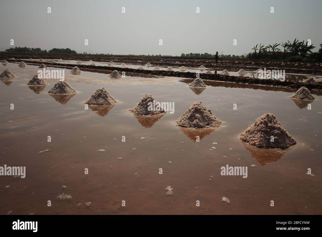 Wide angle view salt farms hi-res stock photography and images - Alamy