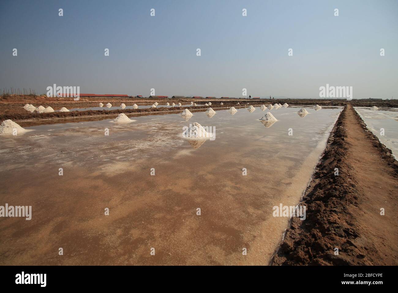 Salt farms or salt fields of Kampot province in Cambodia during harvest ...
