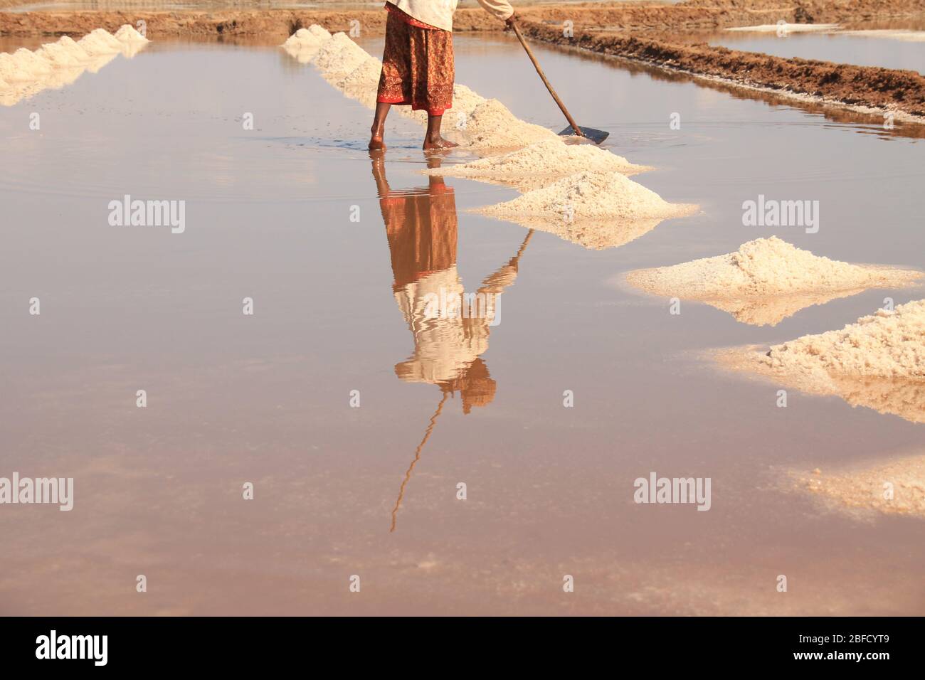 Real life cam hi-res stock photography and images - Alamy