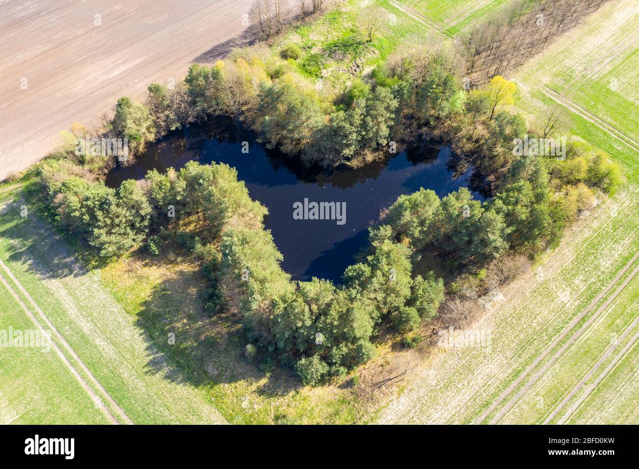 Small pond on farmland, surrounded by bushes, near Celle, Germany Stock ...