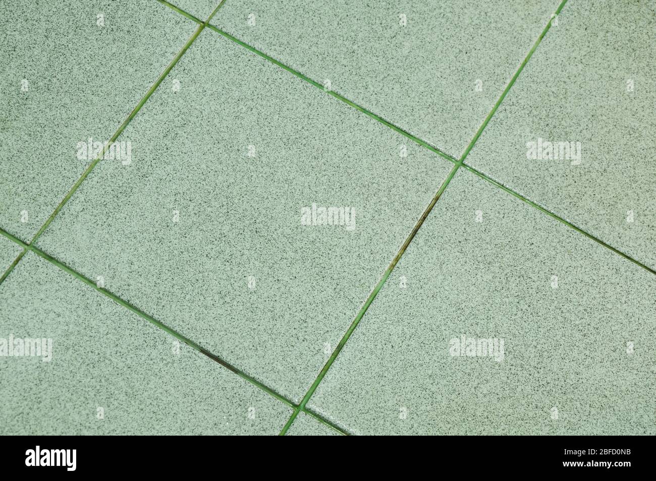 close up of wet tile floor in bathroom background and texture Stock ...