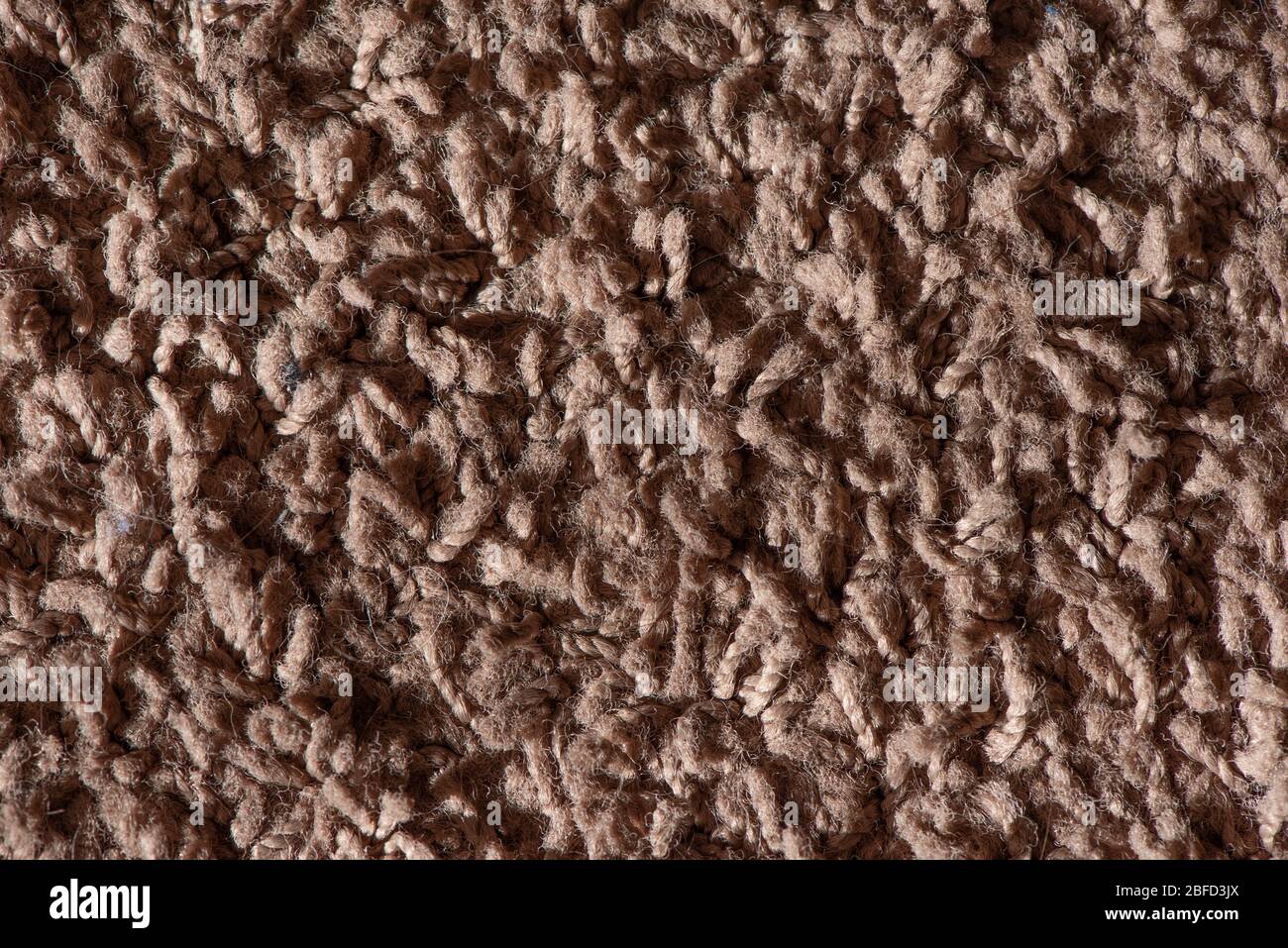 Long pile carpet hi-res stock photography and images - Alamy