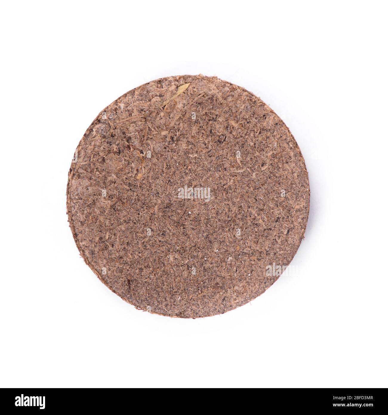 Dry peat pellets, compressed compost tablet isolated over the white ...