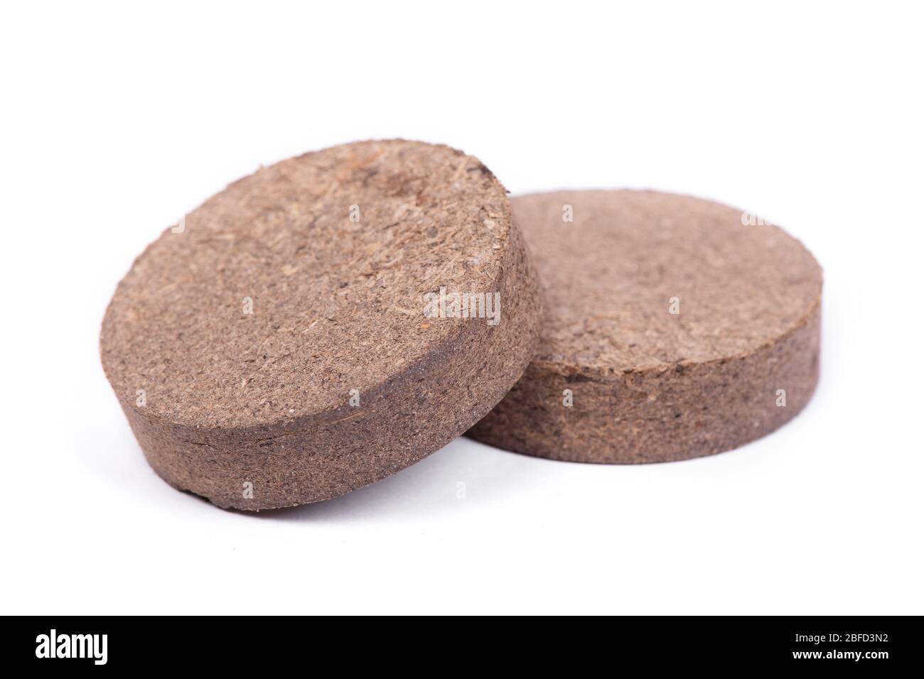 Dry peat pellets, compressed compost tablet isolated over the white ...