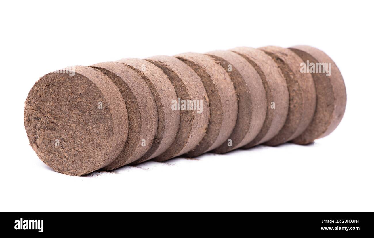 Dry peat pellets, compressed compost tablet isolated over the white ...