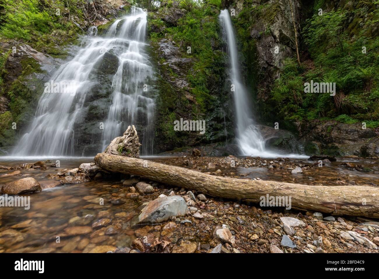 Cascade falls over mossy rocks in the forest Stock Photo - Alamy