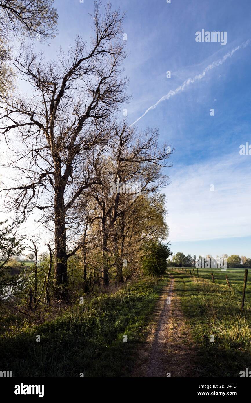 Nature Reserve near Rees on the Lower Rhine Stock Photo - Alamy