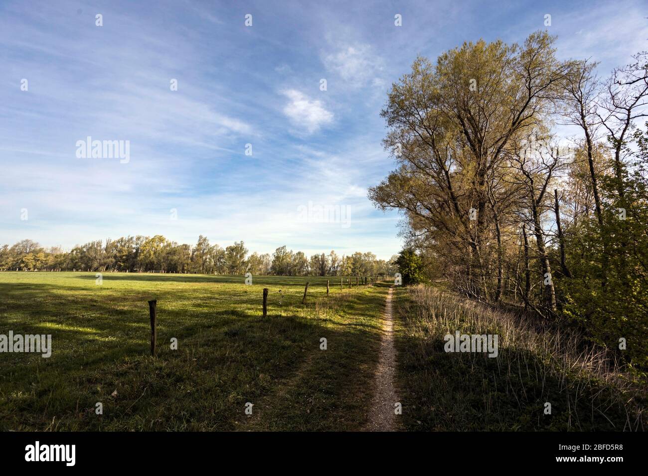 Virgin jungle nature reserve hi-res stock photography and images - Alamy