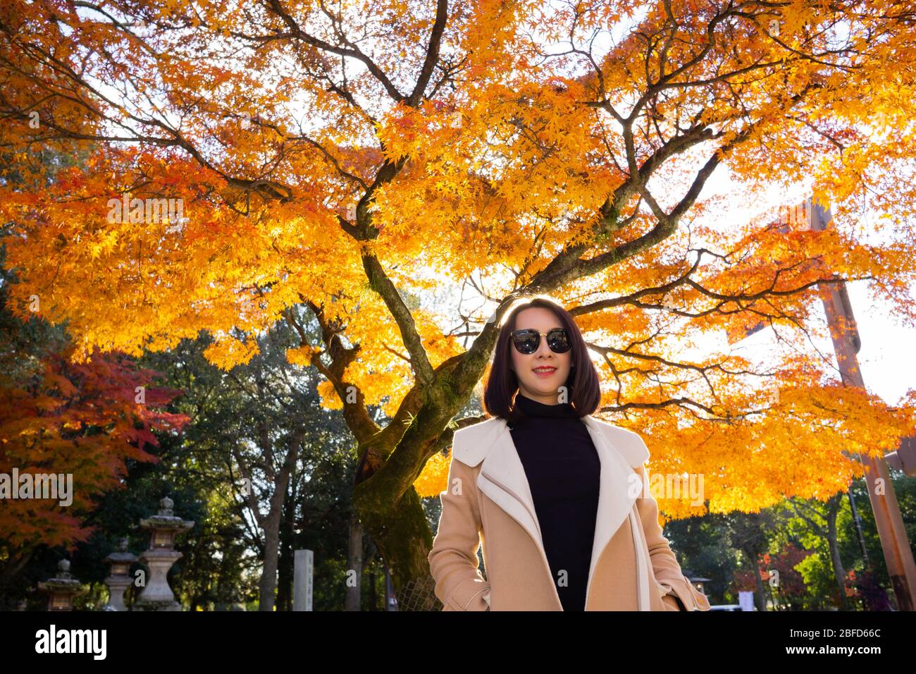 Nara Park is a large park in central Nara city, one of the oldest parks ...