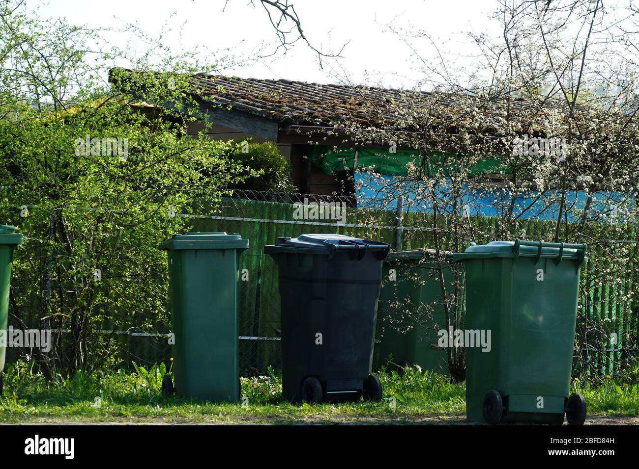 Movable containers for organic waste disposal. Plastic containers on ...