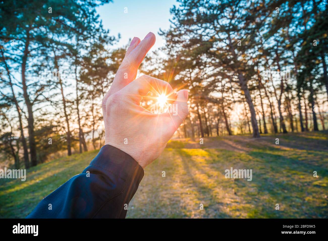 Mans hand silhouette hi-res stock photography and images - Alamy