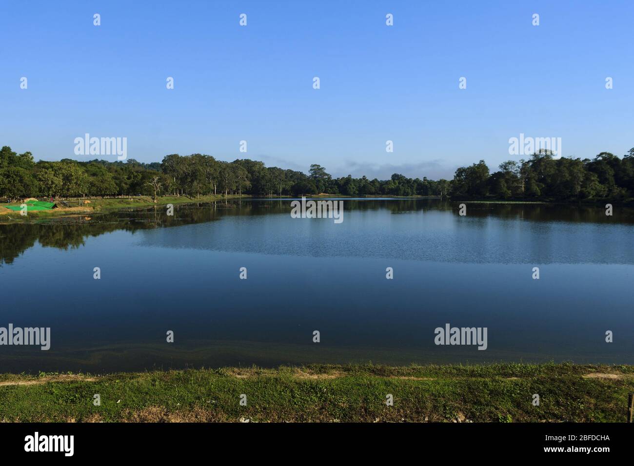 Nature of Cambodia around Angkor Wat Stock Photo - Alamy