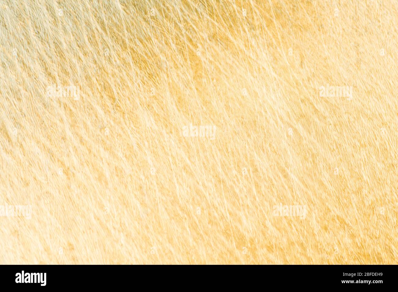 A close up of door or window glass embossed with patterns Stock Photo ...