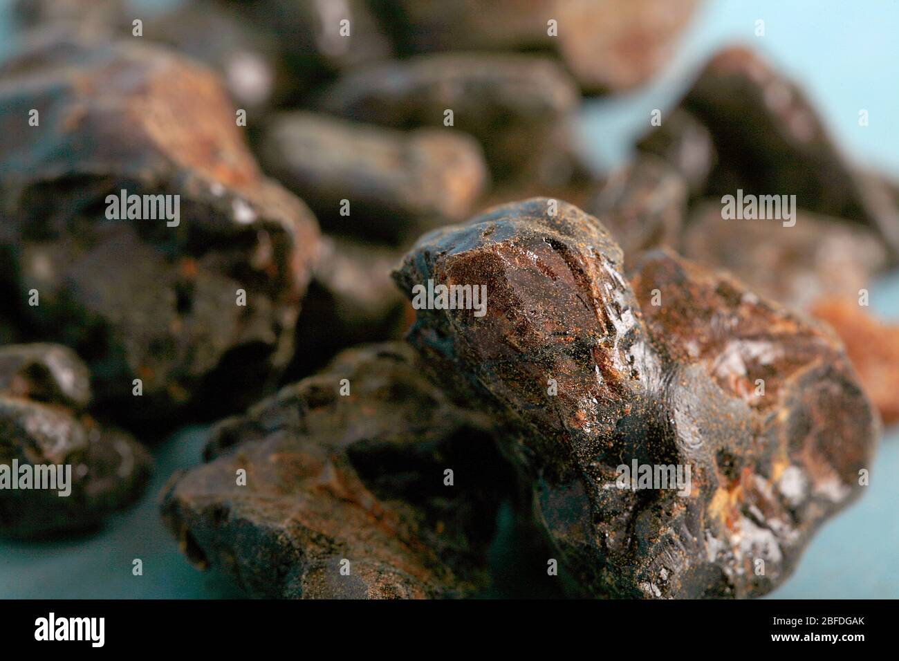 Benzoin Siam. Important traditional medicinal application are used as ...