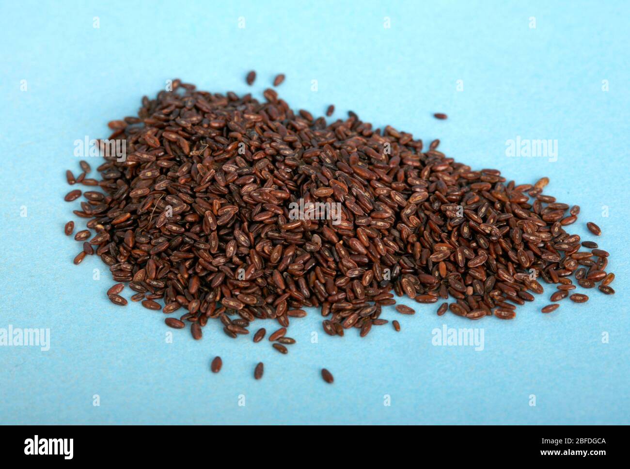 Plantago seeds have been used for coughs and bronchitis while a ...