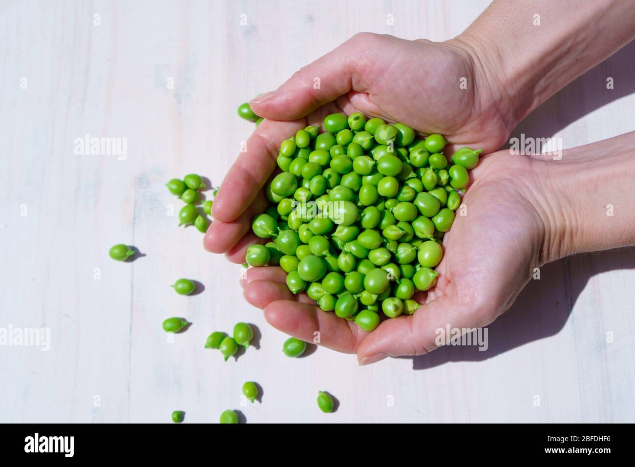 Farmer holding peas hi-res stock photography and images - Alamy
