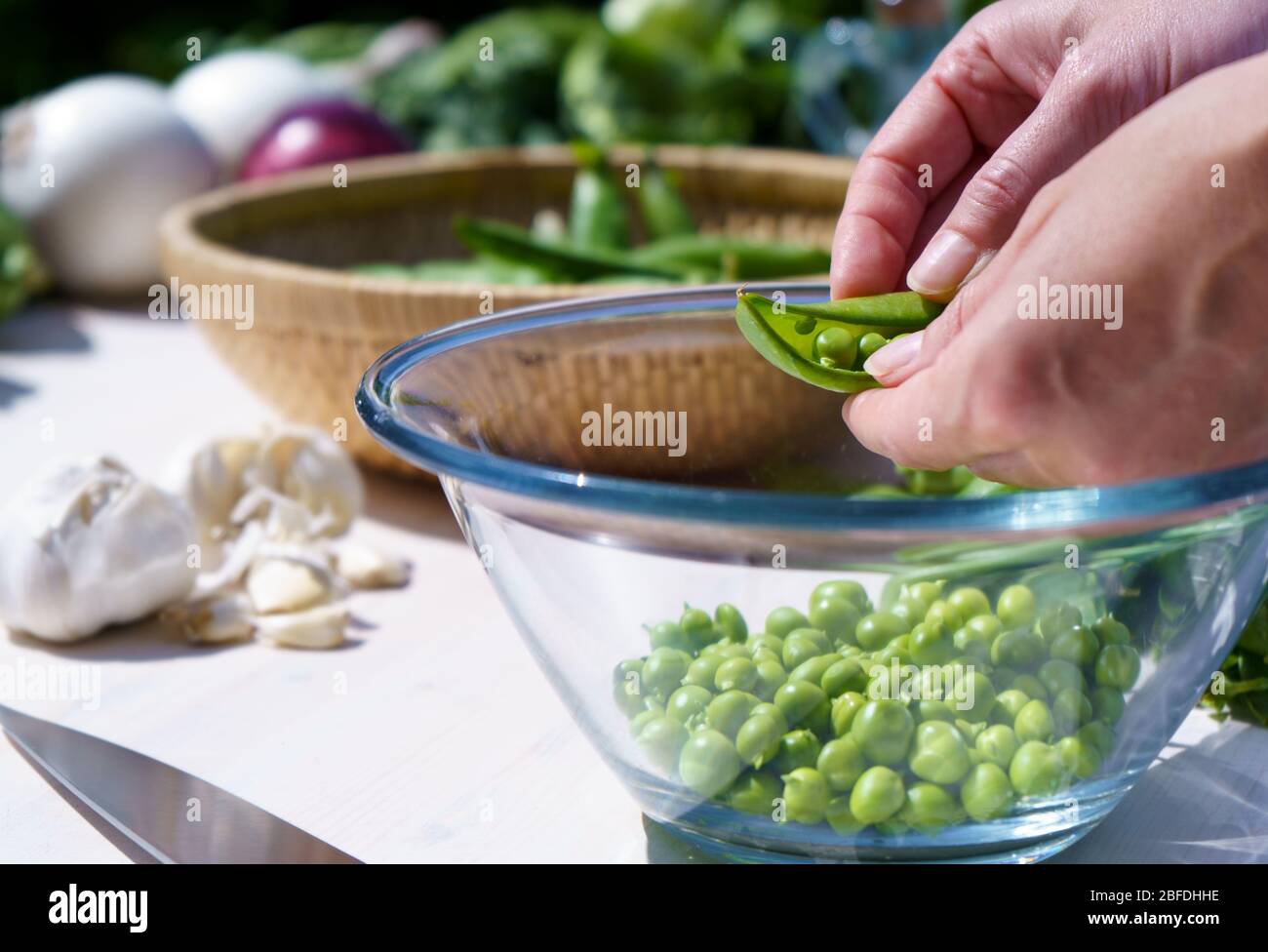 Close up of the hands of a woman shelling peas from the pod inside a ...