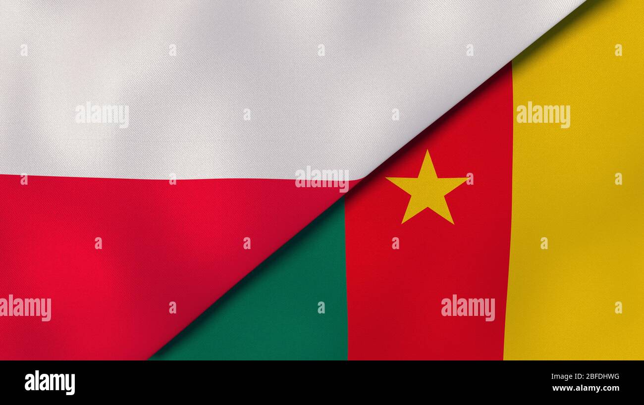 Two states flags of Poland and Cameroon. High quality business ...