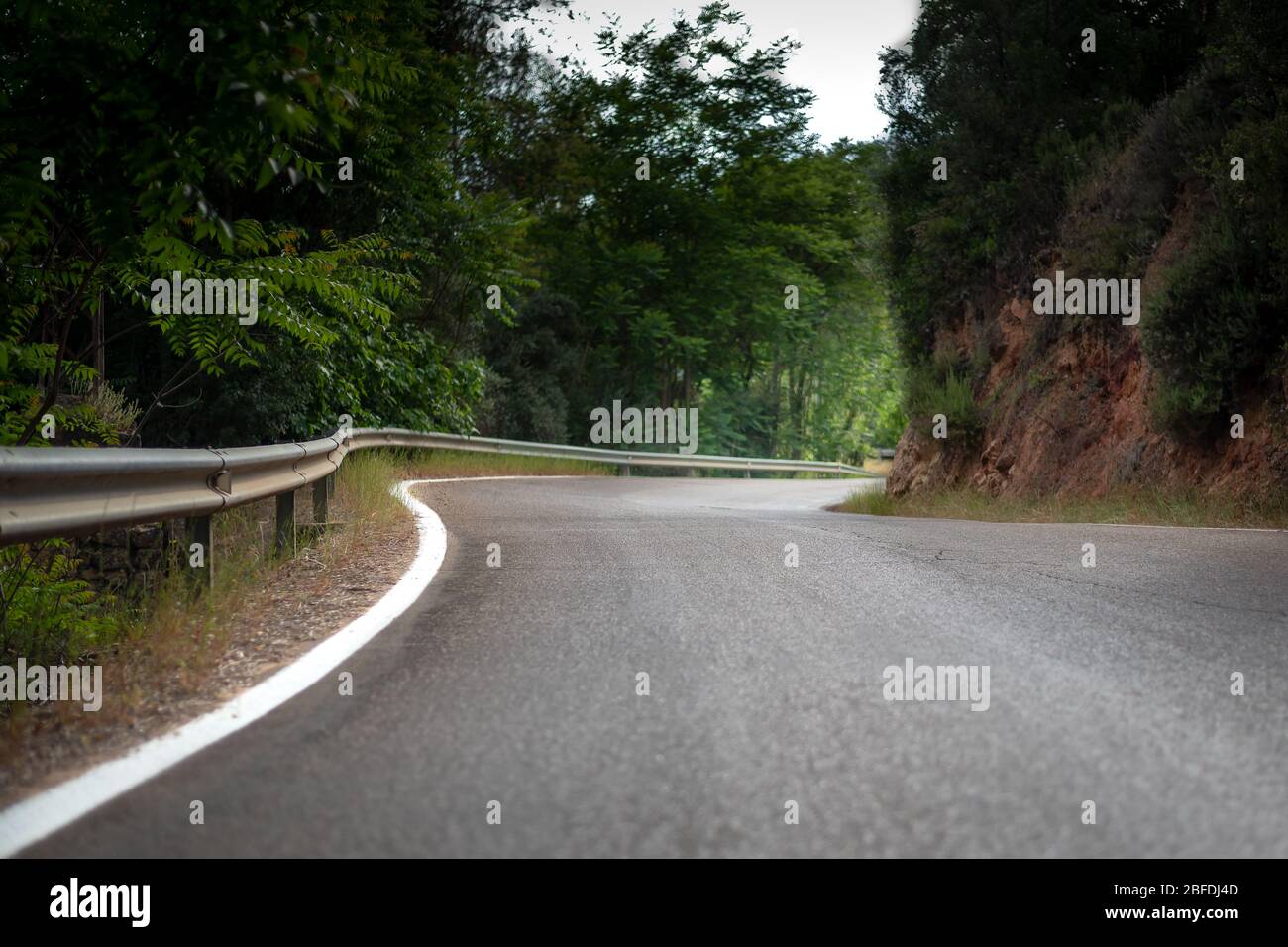 Horizontal color image with a front view of a curved road in the forest ...