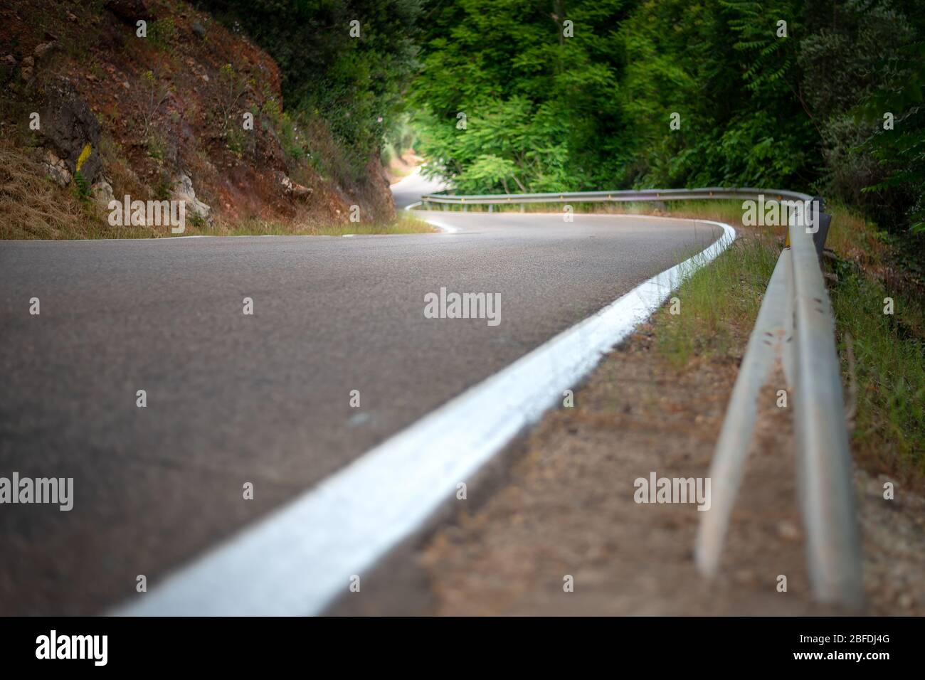 Horizontal color image with a front view of a curved road in the forest ...
