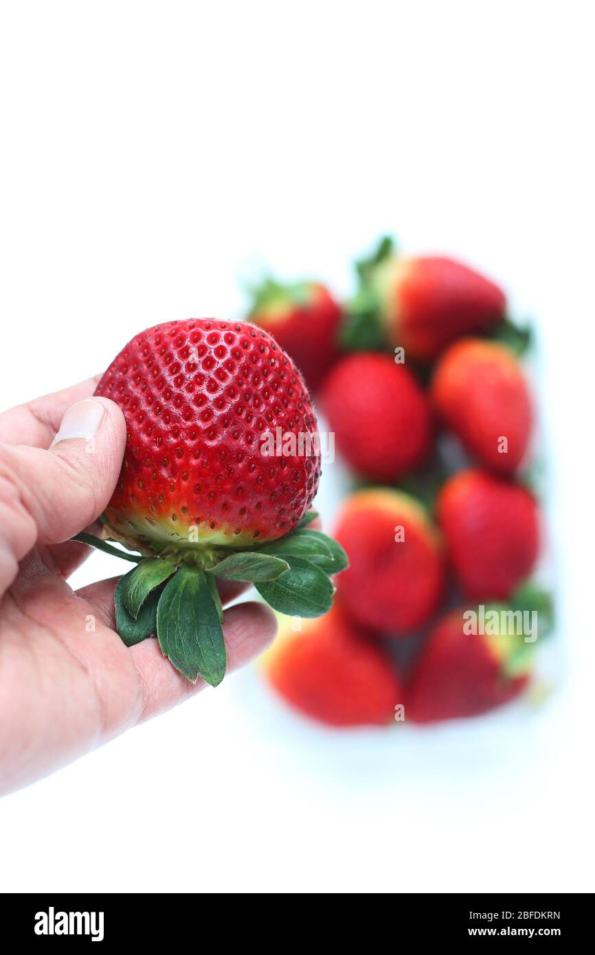 Close up strawberry fruits hi-res stock photography and images - Alamy