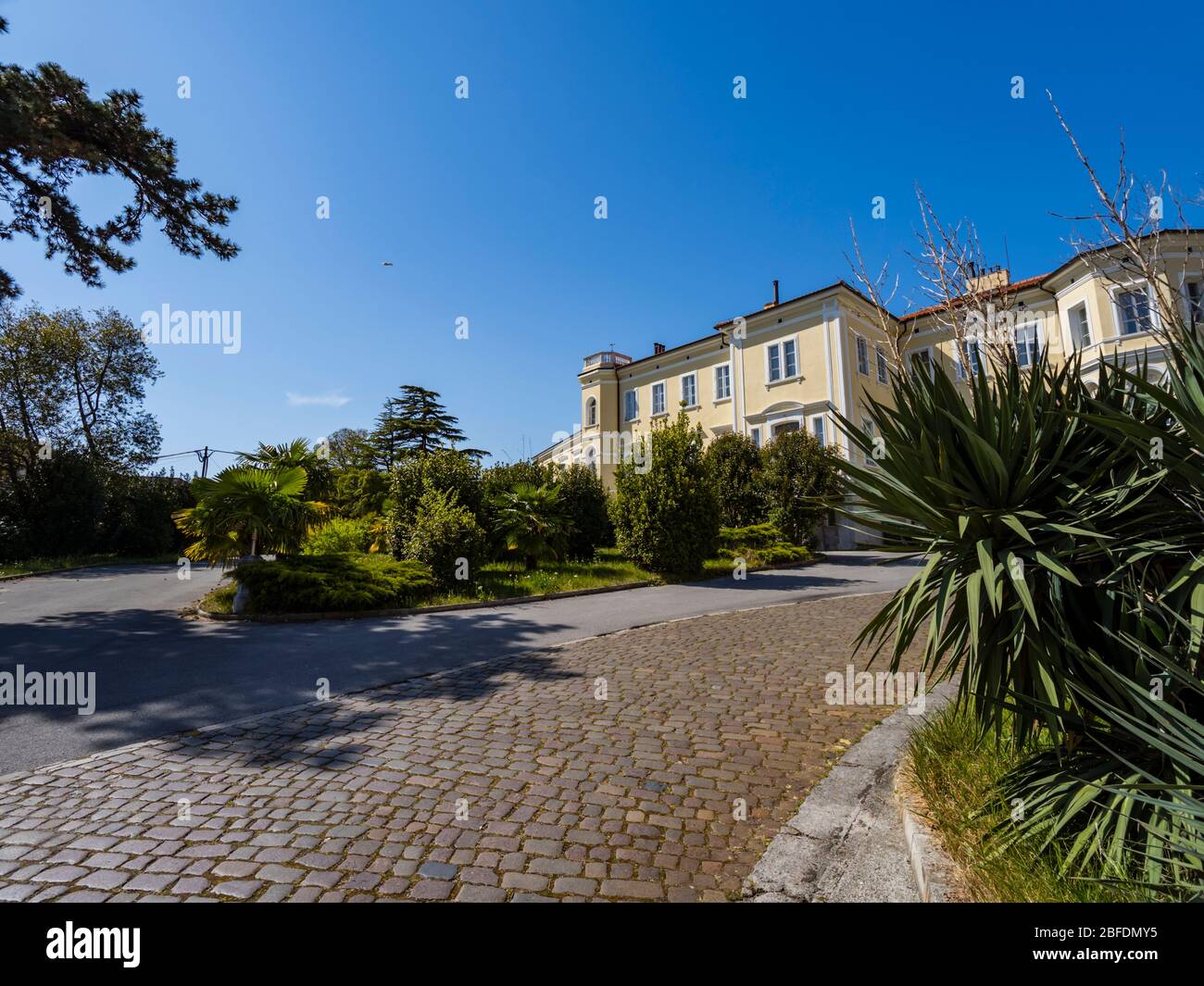 Robert whitehead inventor hi-res stock photography and images - Alamy