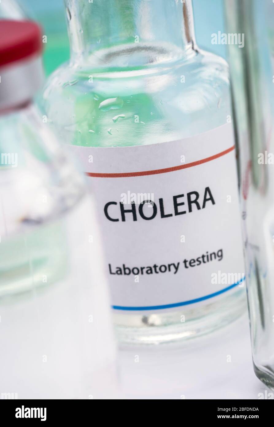 Test cholera in laboratory, conceptual image, composition horizontal ...